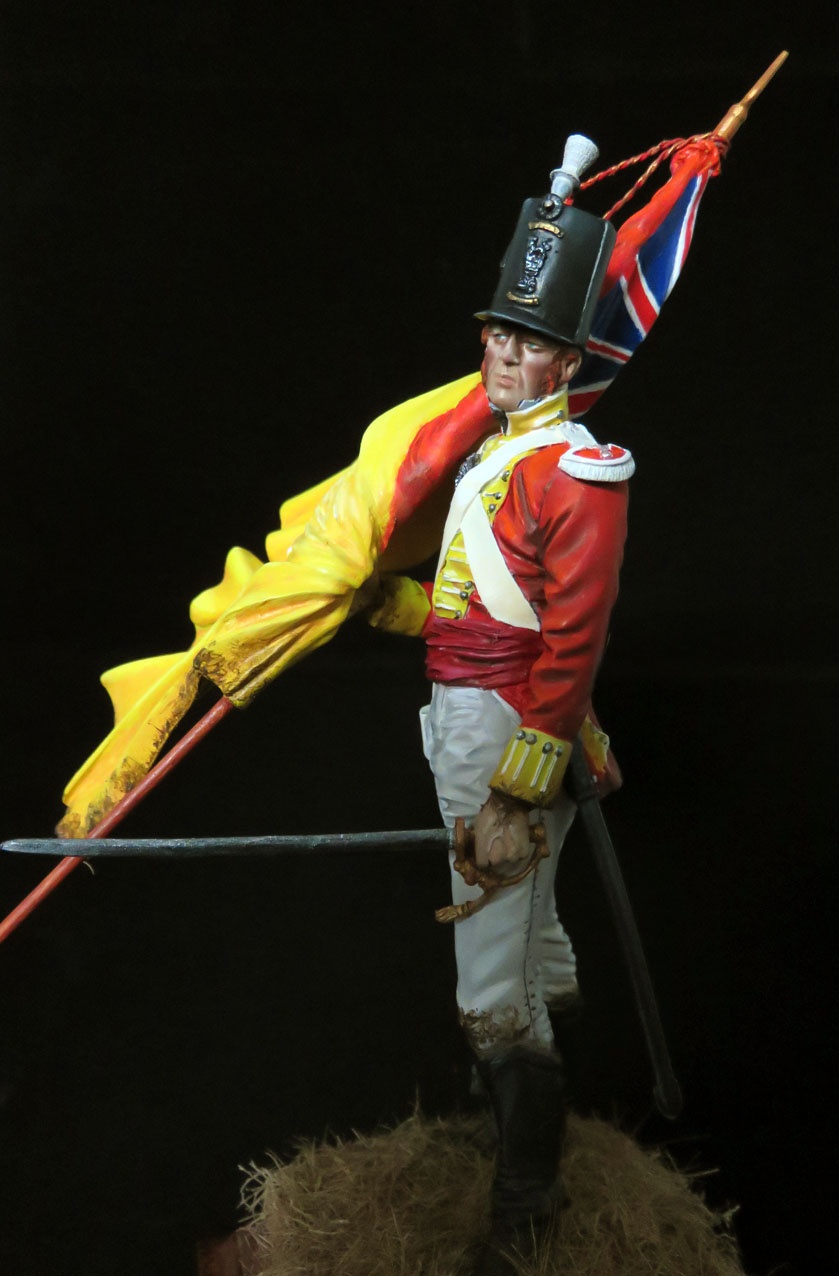 Ensign 28 Footh Waterloo 1815 by megroot · Putty&Paint